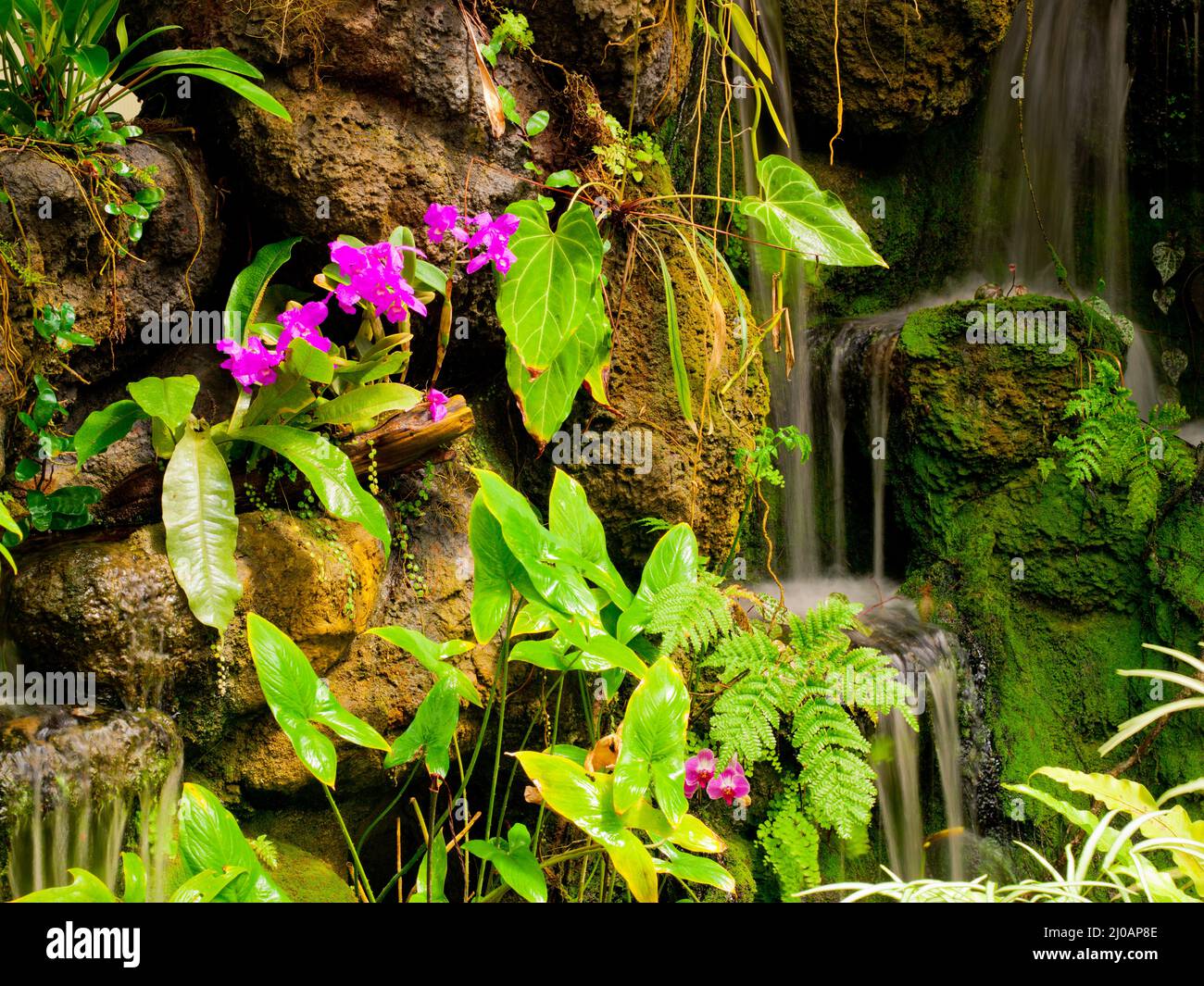 Pink waterfall hi-res stock photography and images - Alamy