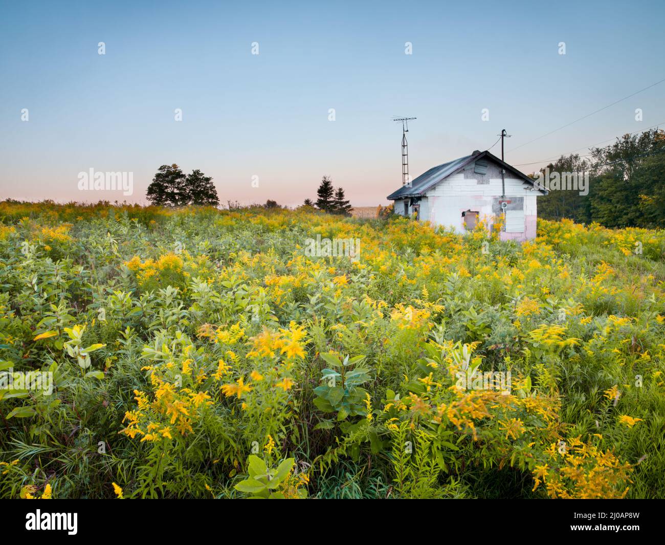Wildflower field house hi-res stock photography and images - Alamy
