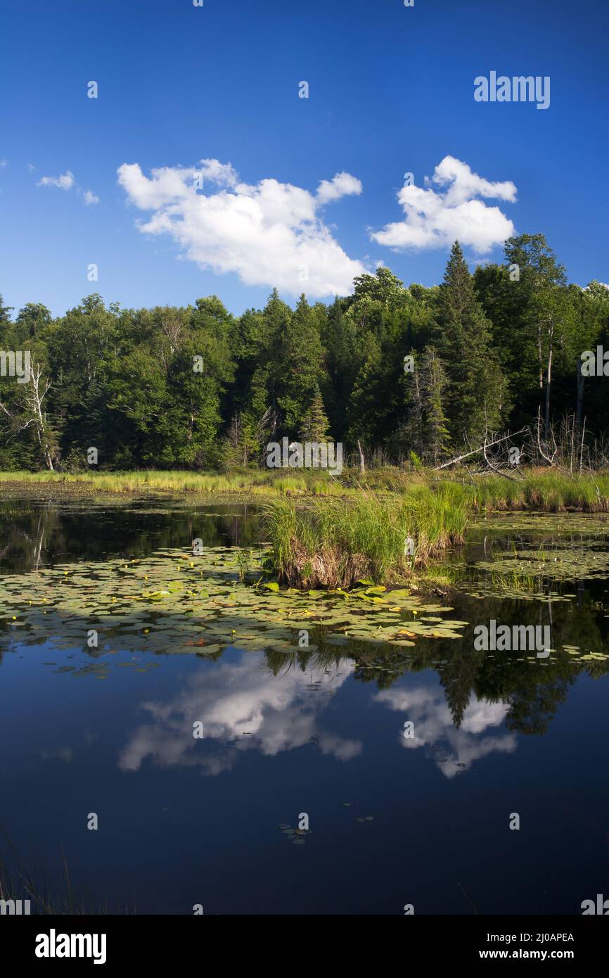 Haliburton lake hi-res stock photography and images - Alamy