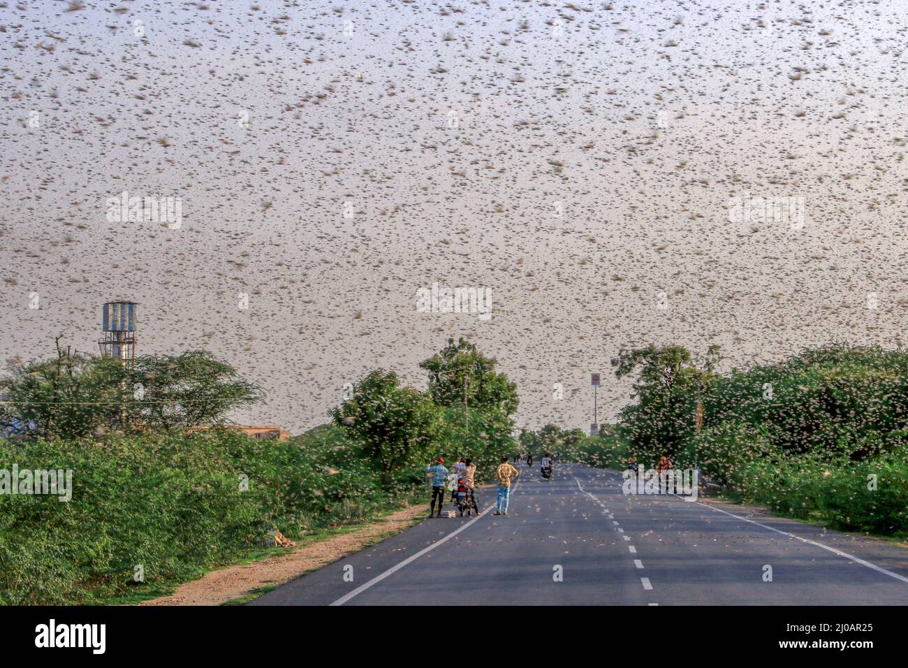 Surveying department 11 hi-res stock photography and images - Alamy