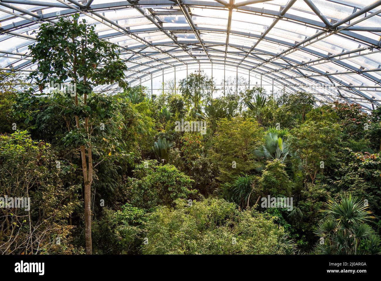 Masoala Halle zoo in Zurich, Switzerland Stock Photo - Alamy