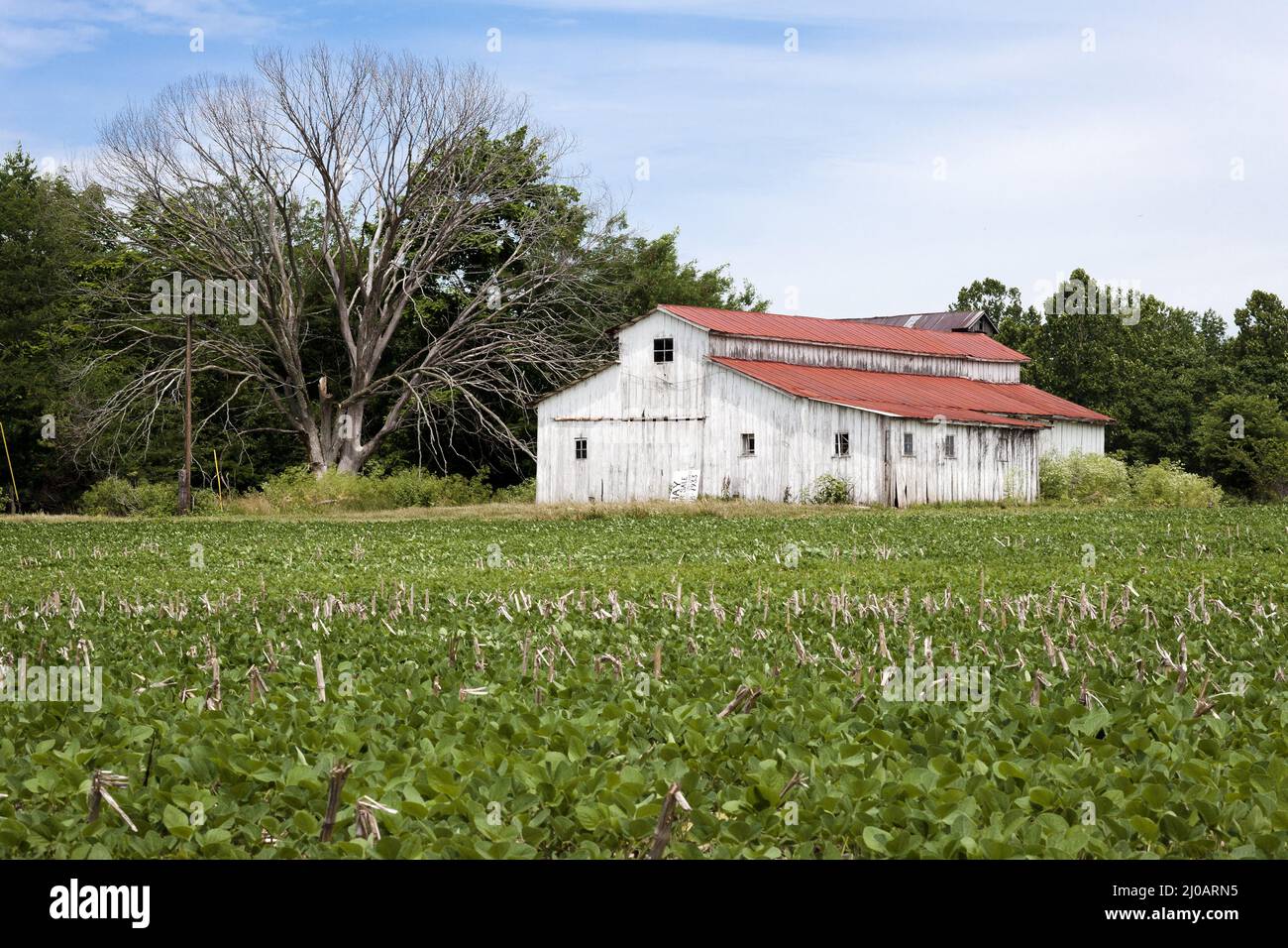 Broken down barn hi-res stock photography and images - Alamy