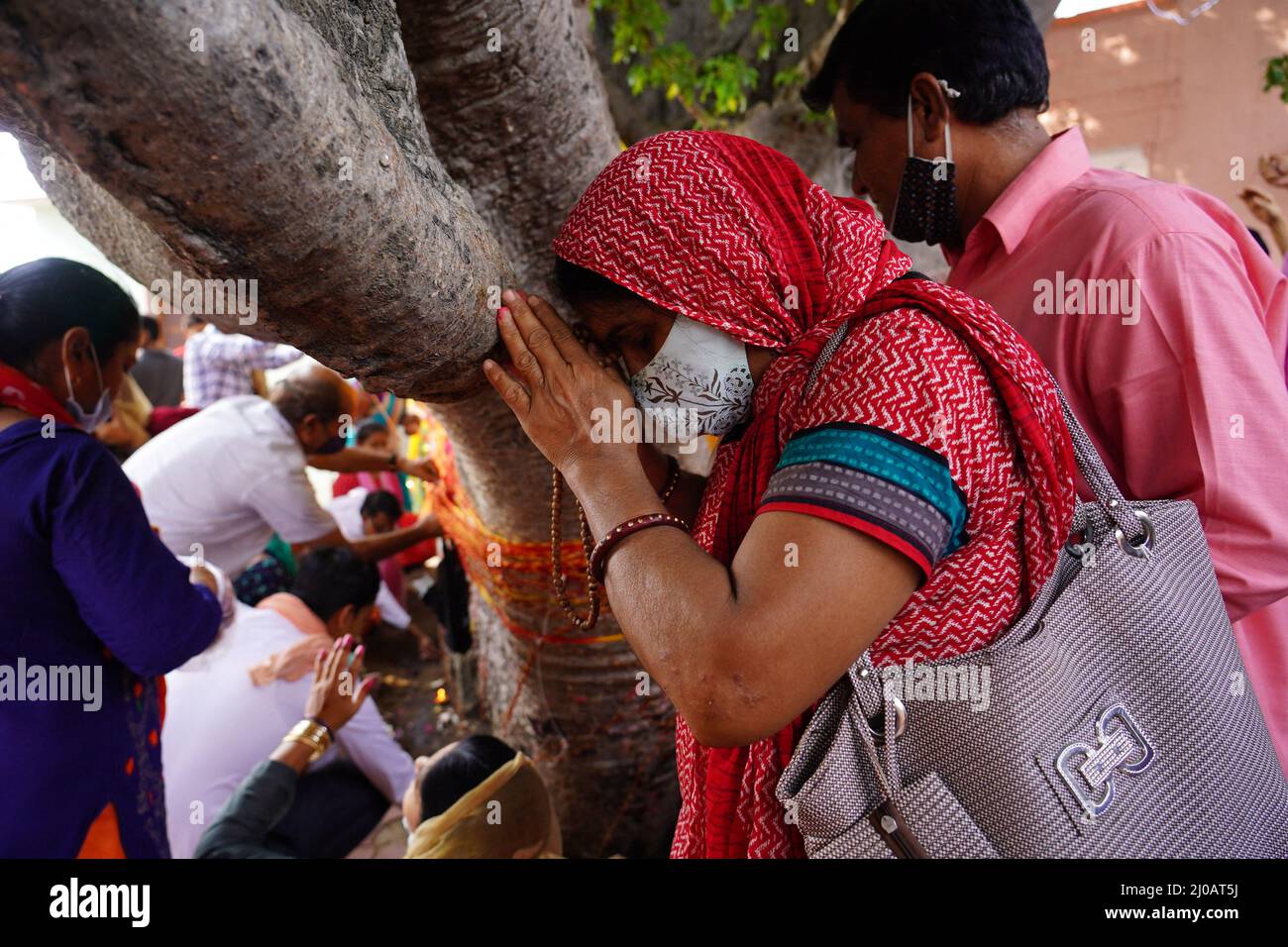 Kalpavriksha hi-res stock photography and images - Alamy