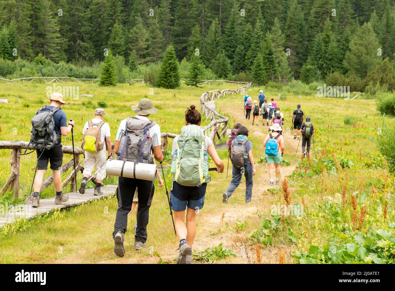 Large group of hikers hi-res stock photography and images - Alamy