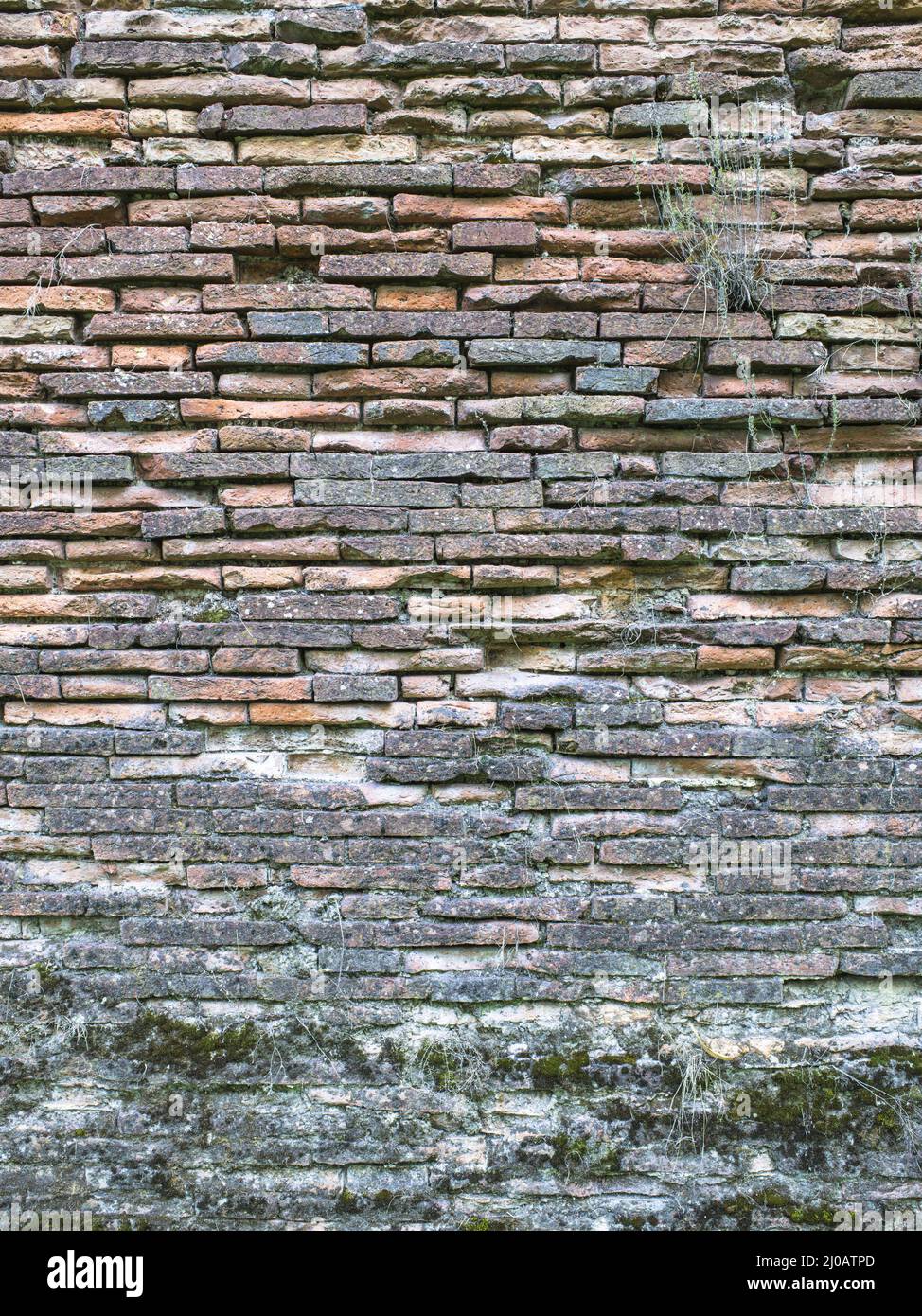 Castle wall with moss hi-res stock photography and images - Alamy