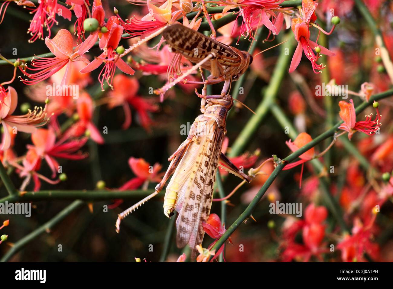 Agriculture department team hi-res stock photography and images - Alamy
