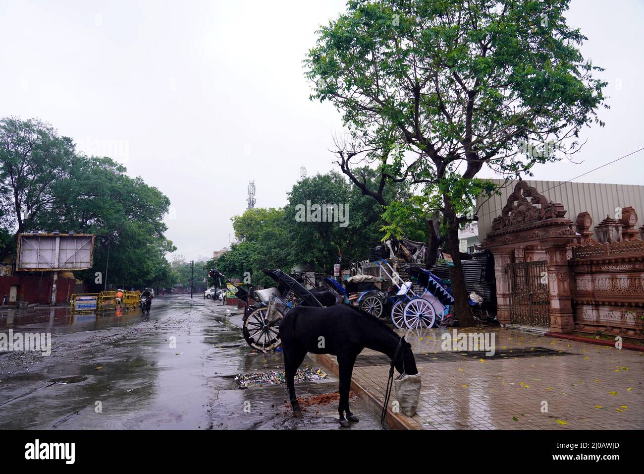 Impact of cyclone hi-res stock photography and images - Alamy