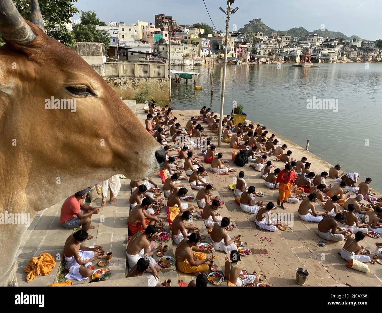 Indian Hindu offering Rituals During "Janai Purnima" festival or ...
