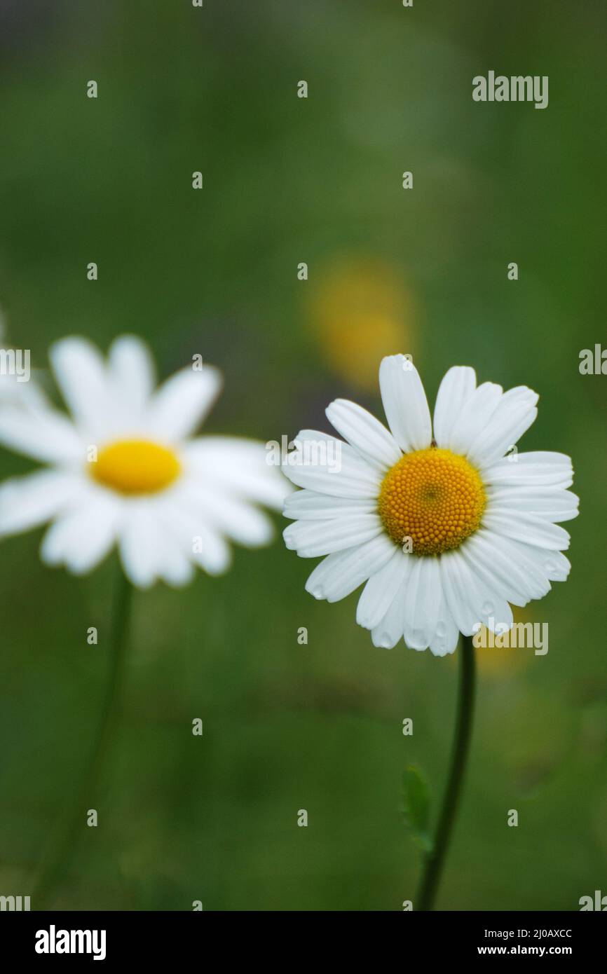 Be kind to nature hi-res stock photography and images - Alamy