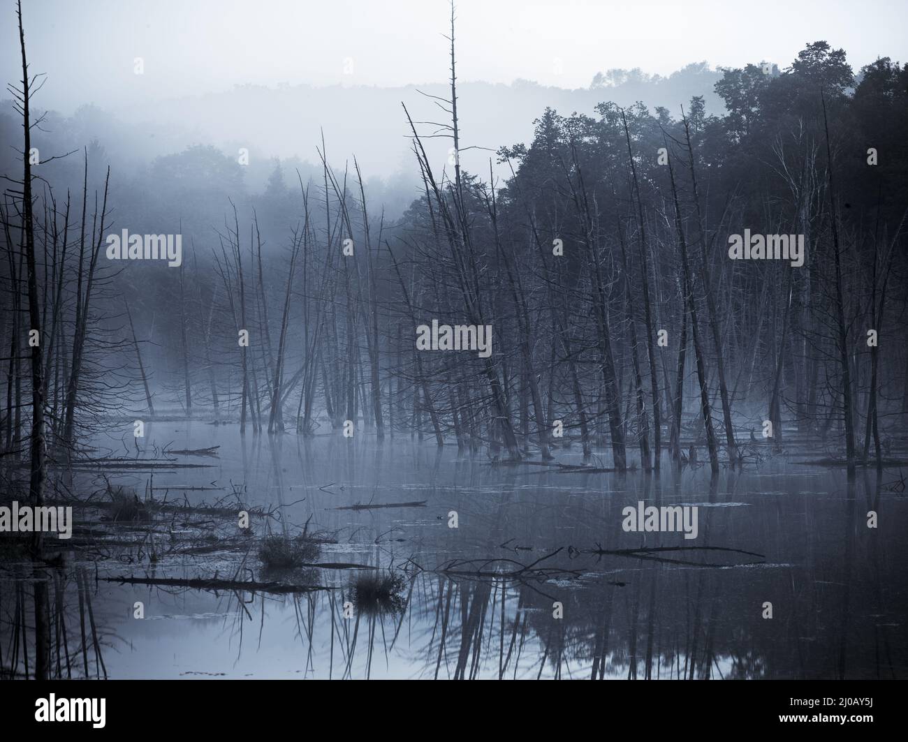 Landscape01 hi-res stock photography and images - Alamy