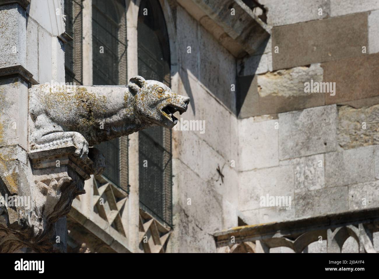 Regensboger dom hi-res stock photography and images - Alamy