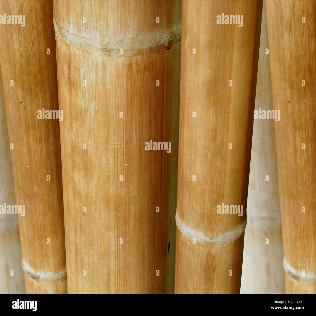 Abstract Background Texture Of Thick Sticks Of Bamboo Stock Photo - Alamy