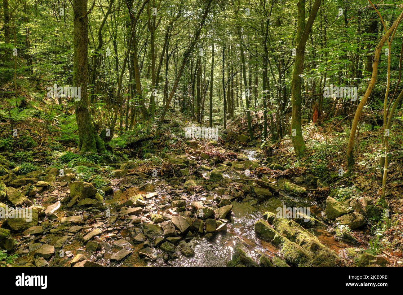 Experience with nature hi-res stock photography and images - Alamy