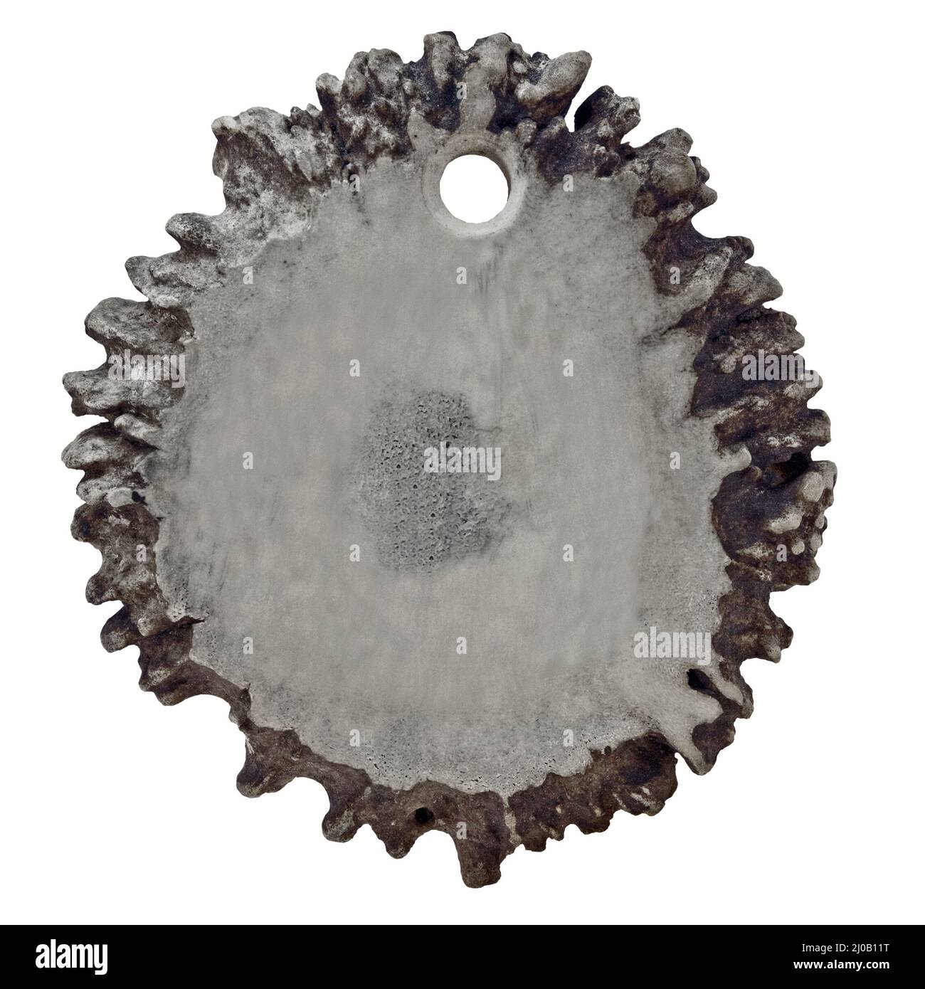 Large medallion design hi-res stock photography and images - Alamy