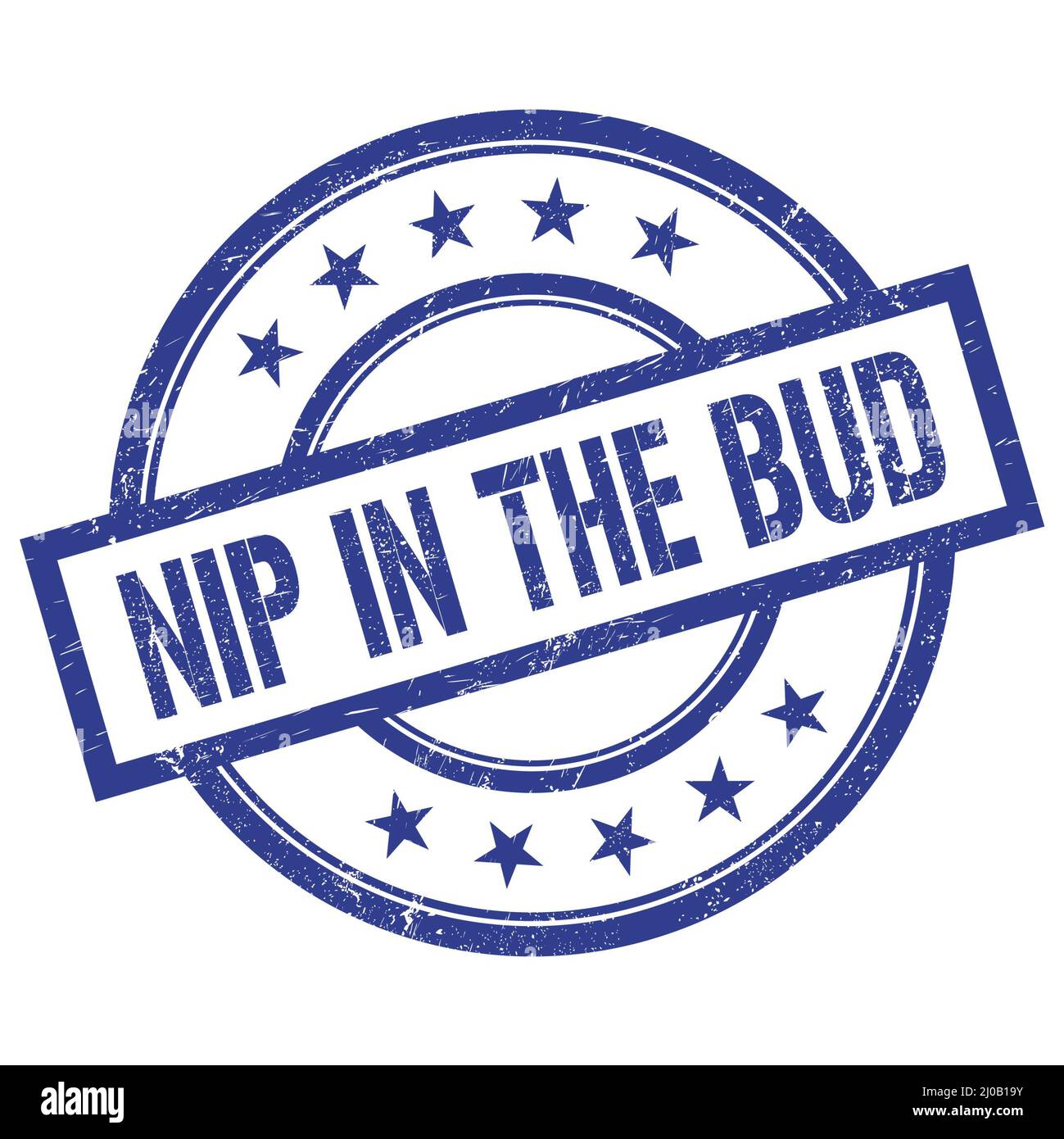 NIP IN THE BUD text written on blue round vintage rubber stamp Stock ...