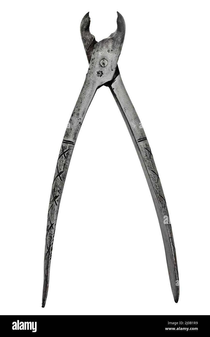 At eye level Cut Out Stock Images & Pictures - Alamy