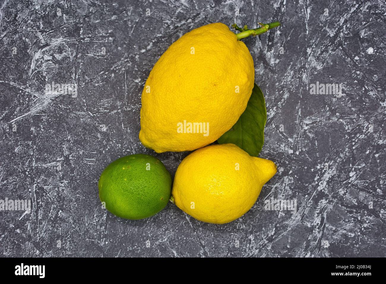 Closeup of the ripe lemons and lime isolated on the gray textured ...