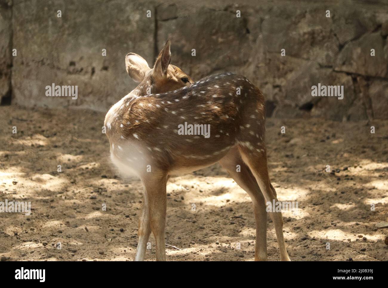 Head bent back hi-res stock photography and images - Alamy