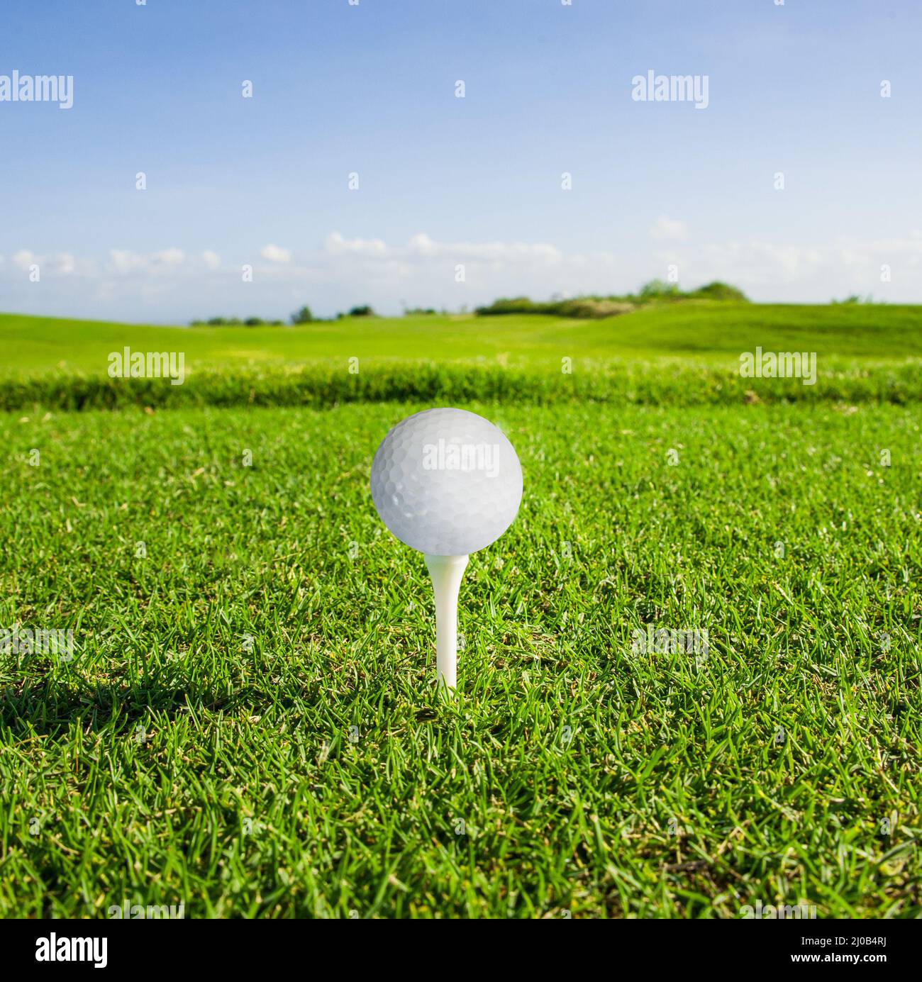 Golf club and ball in grass Stock Photo - Alamy