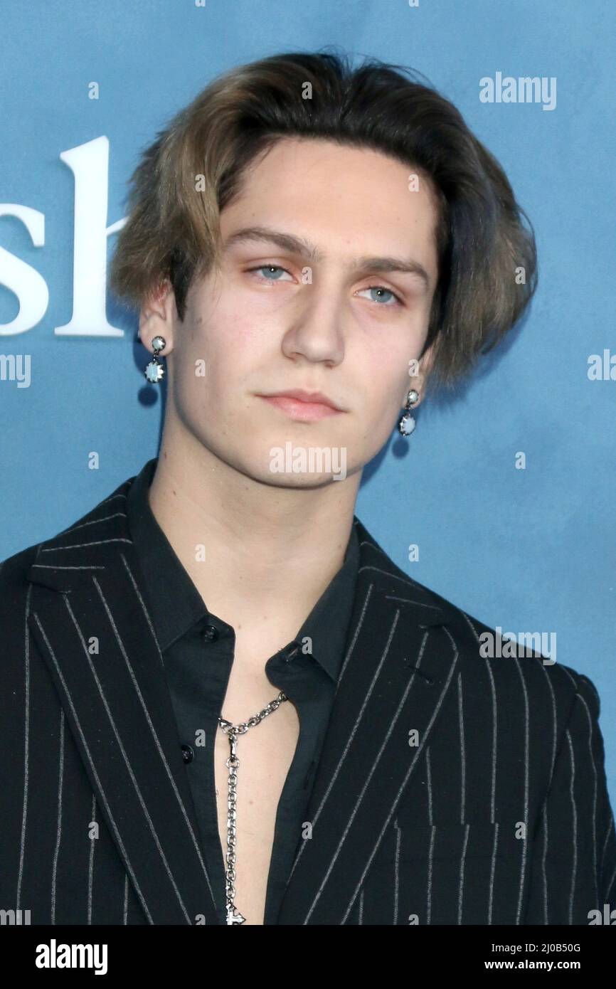 LOS ANGELES - MAR 17: Huddy, AKA Cole Chase Hudson at the WeCrashed ...