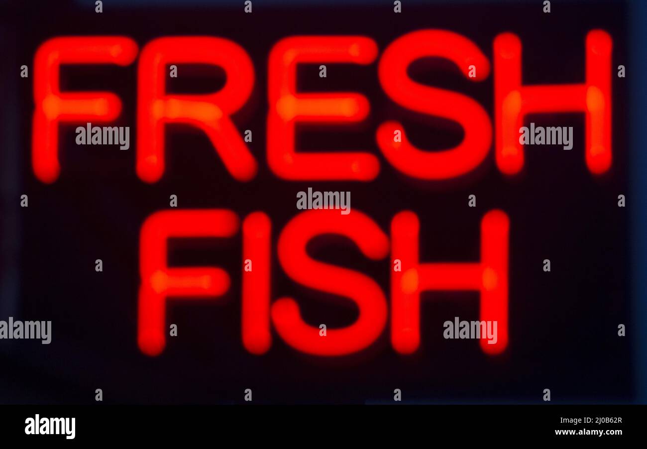 Fresh fish neon sign Stock Photo - Alamy