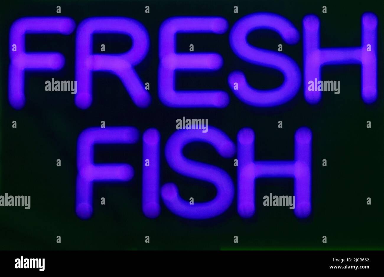 Fresh fish neon sign Stock Photo - Alamy