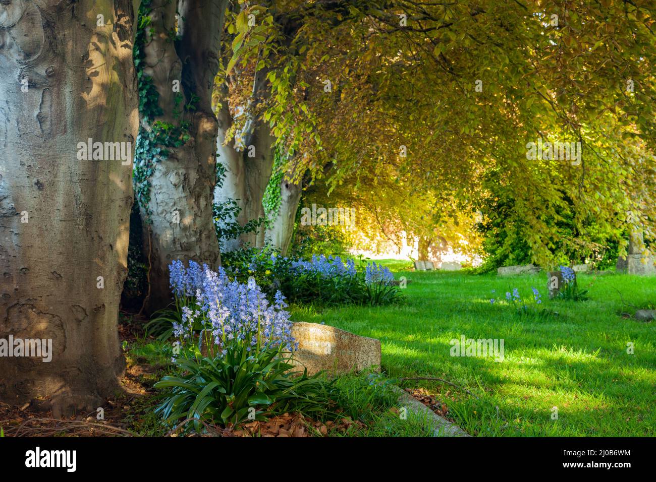 Southwick green hi-res stock photography and images - Alamy