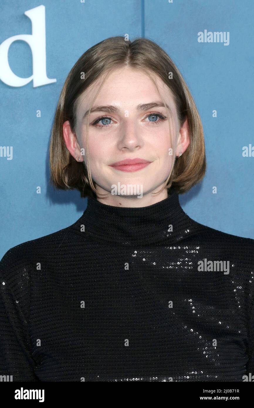 Cricket brown hi-res stock photography and images - Alamy