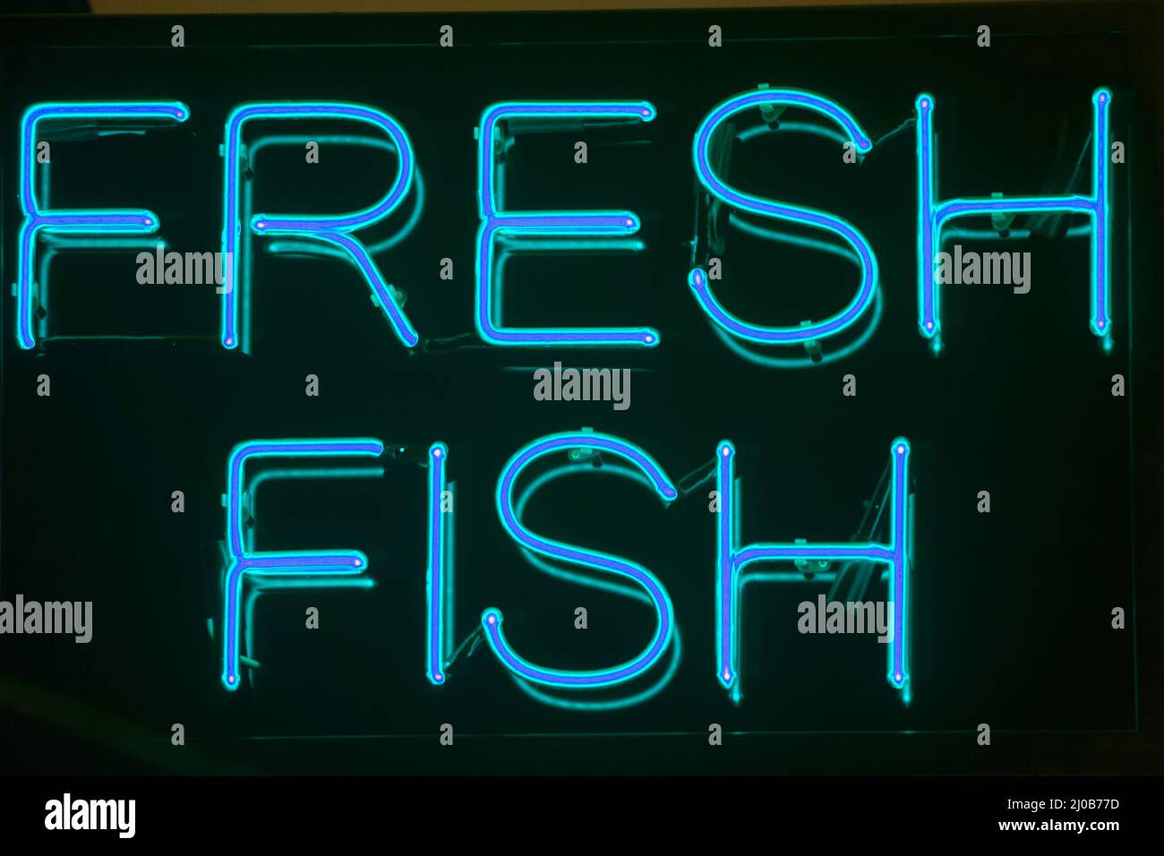 Fresh fish neon sign Stock Photo - Alamy