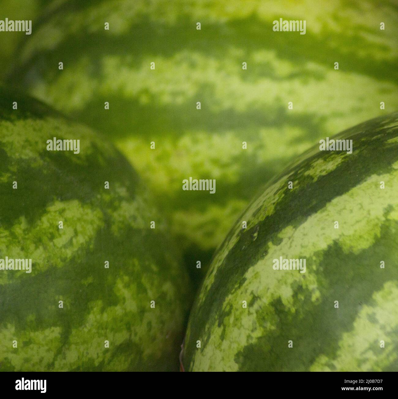 Watermelons fruit in supermarket grocers Stock Photo - Alamy