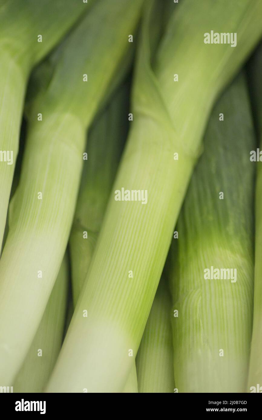 Leek vegetables in supermarket grocers Stock Photo - Alamy
