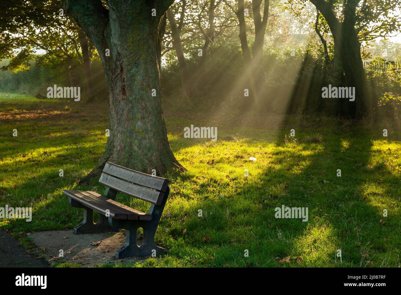 Misty autumn morning in Southwick, West Sussex, England Stock Photo - Alamy