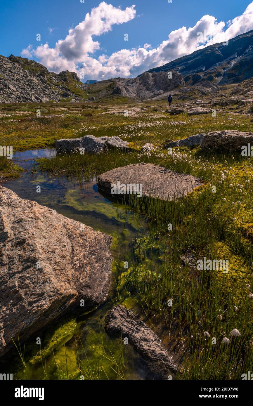 Alpine landscape in the Lord of the Rings style in the Greina plateau ...