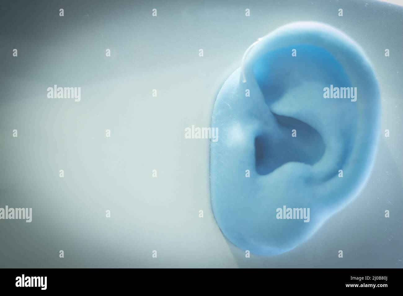 Plastic blue human ear model Stock Photo - Alamy