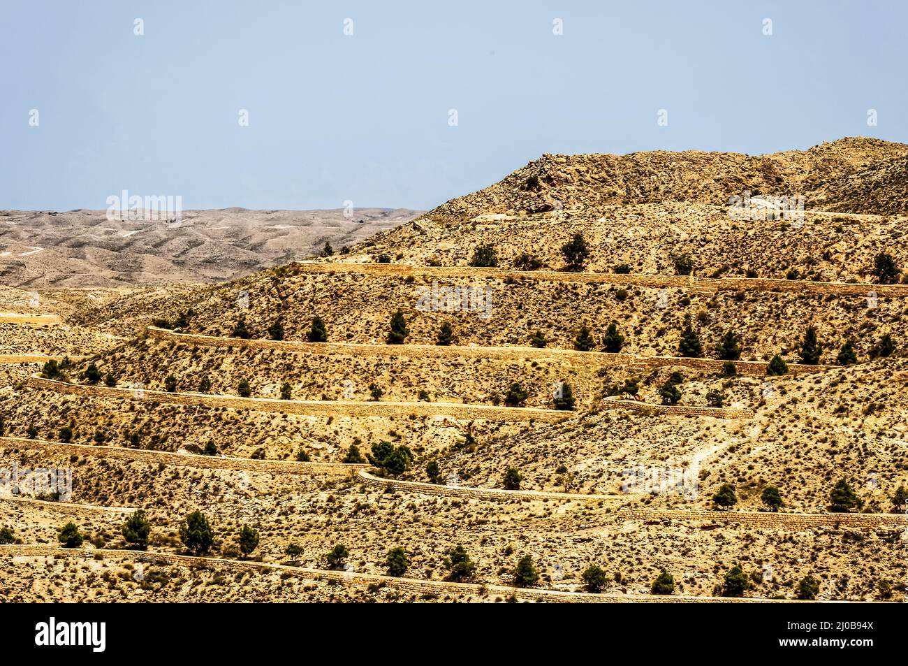 Agriculture in the barren land in the Tunisia Stock Photo - Alamy