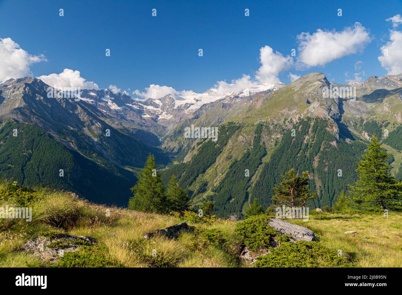 The beautiful valley in front of the Gran Paradiso in a summer day ...