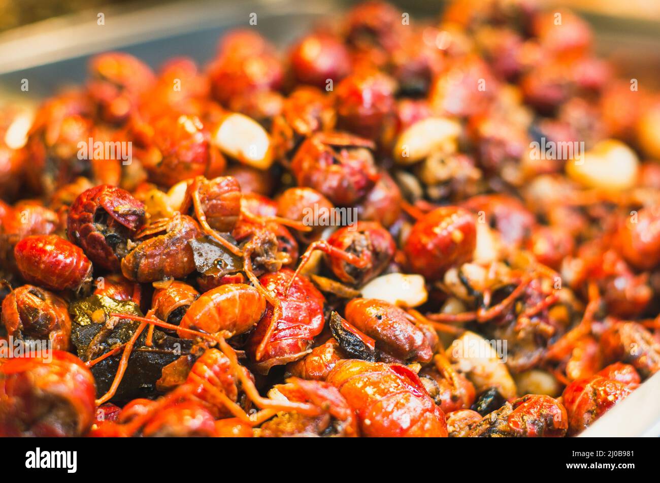 Chinese lobster hi-res stock photography and images - Alamy