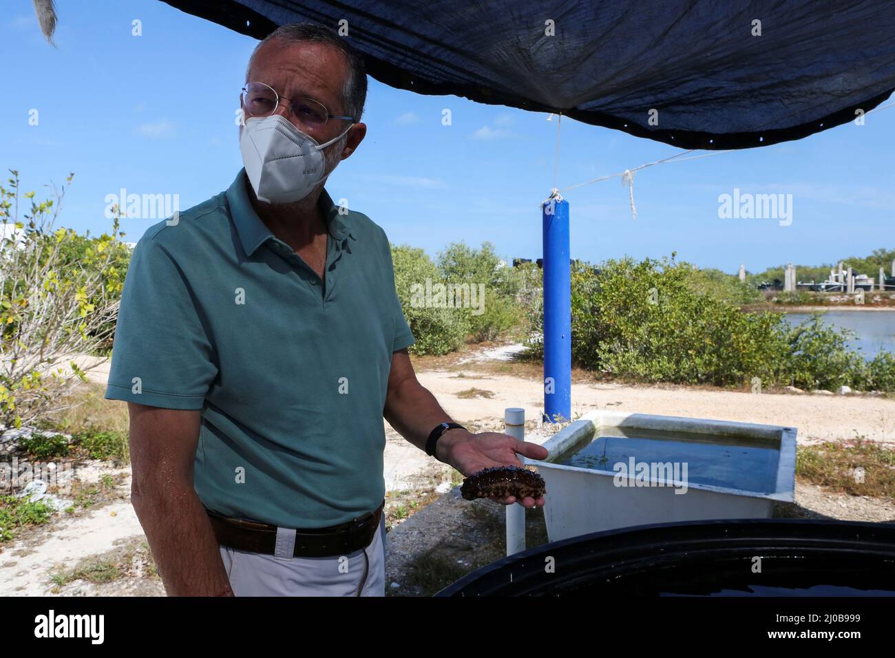 Mexico animal biologist hi-res stock photography and images - Alamy