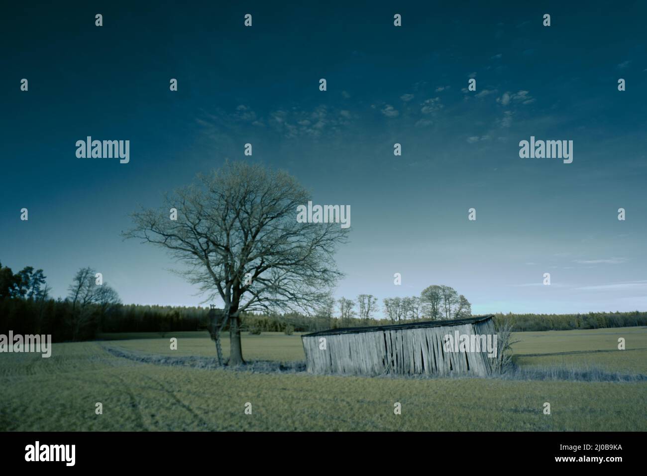 infrared photography - surreal ir photo of landscape with trees under ...