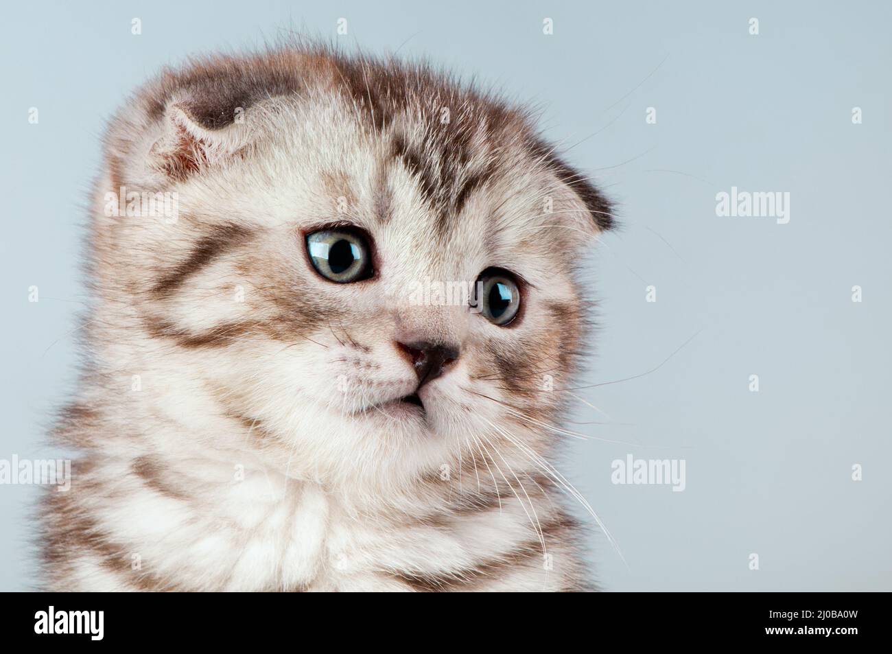 Mournful face hi-res stock photography and images - Alamy