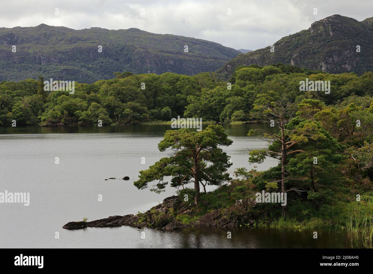 Muckross national park hi-res stock photography and images - Alamy