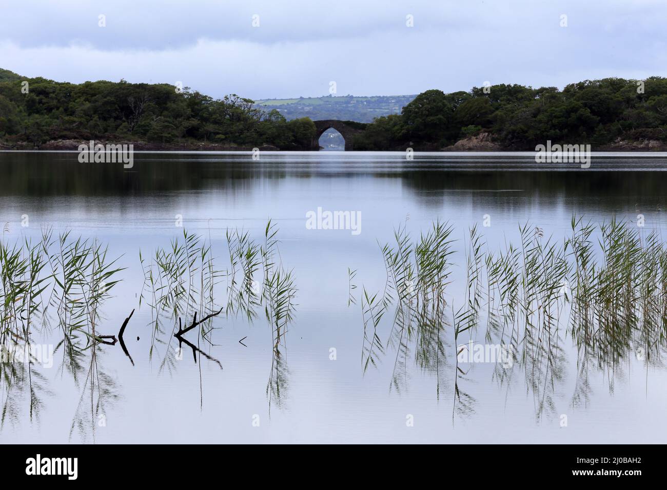 Muckross national park hi-res stock photography and images - Alamy