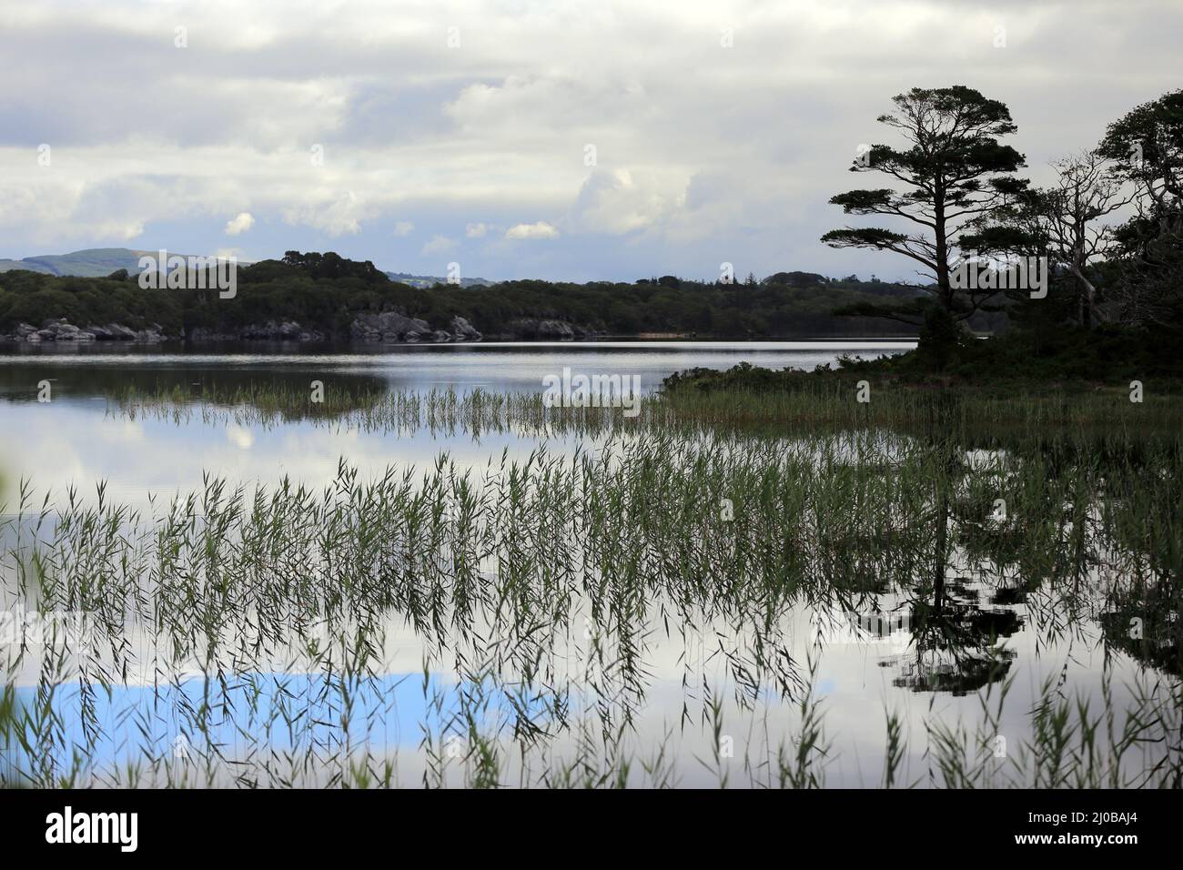 Muckross national park hi-res stock photography and images - Alamy