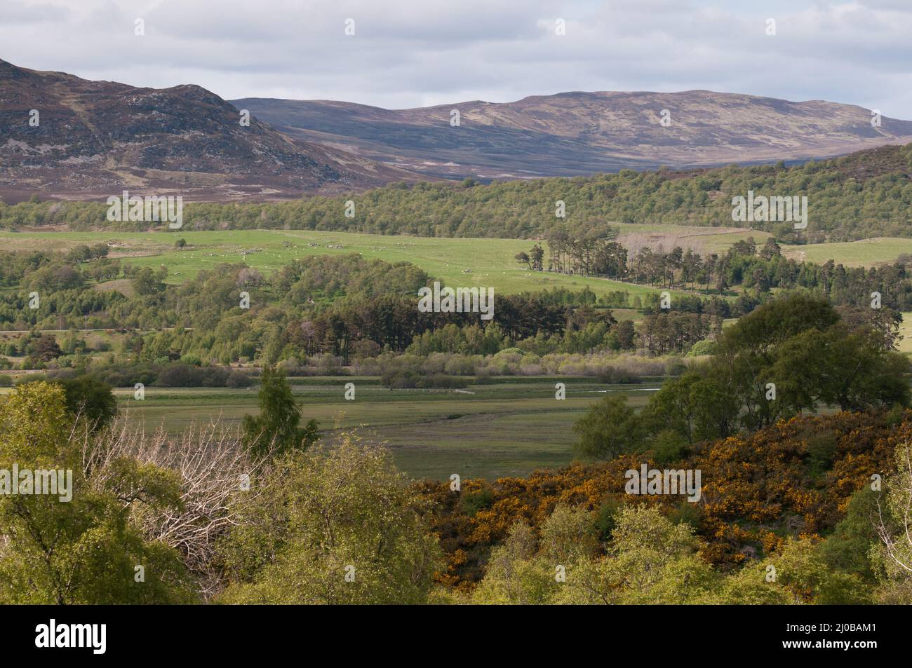 Insh Marshes Scotland Stock Photo - Alamy