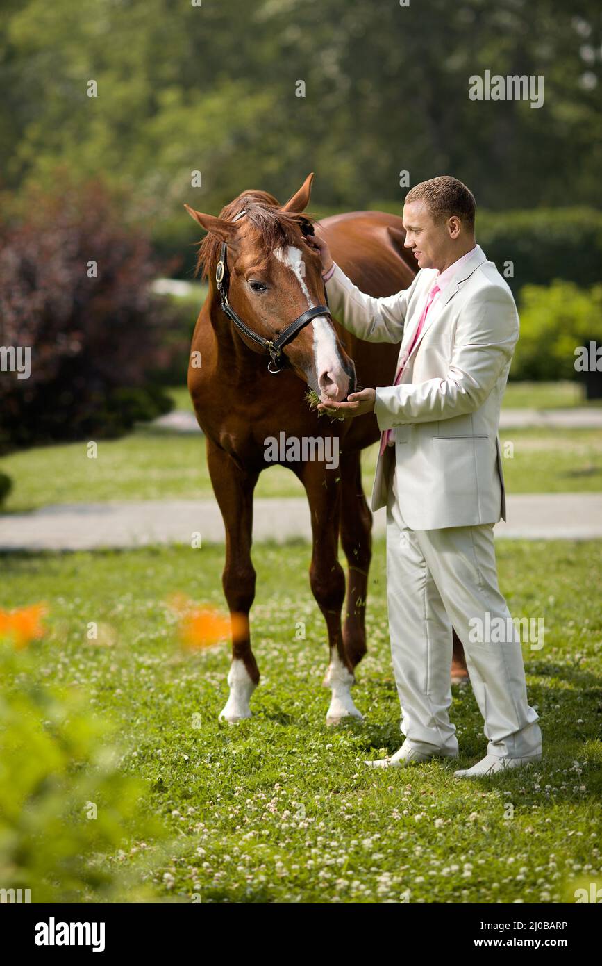 Beautiful horse photo hi-res stock photography and images - Alamy
