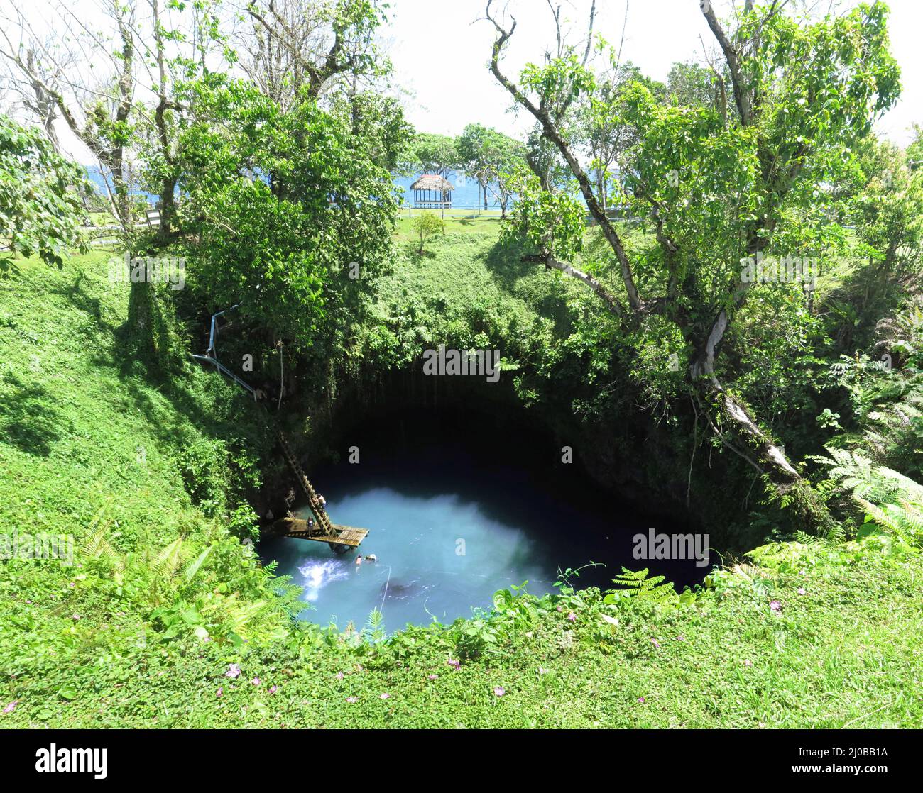 Happy people swimming in the Tosua Ocean Trench on Samoa Stock Photo ...
