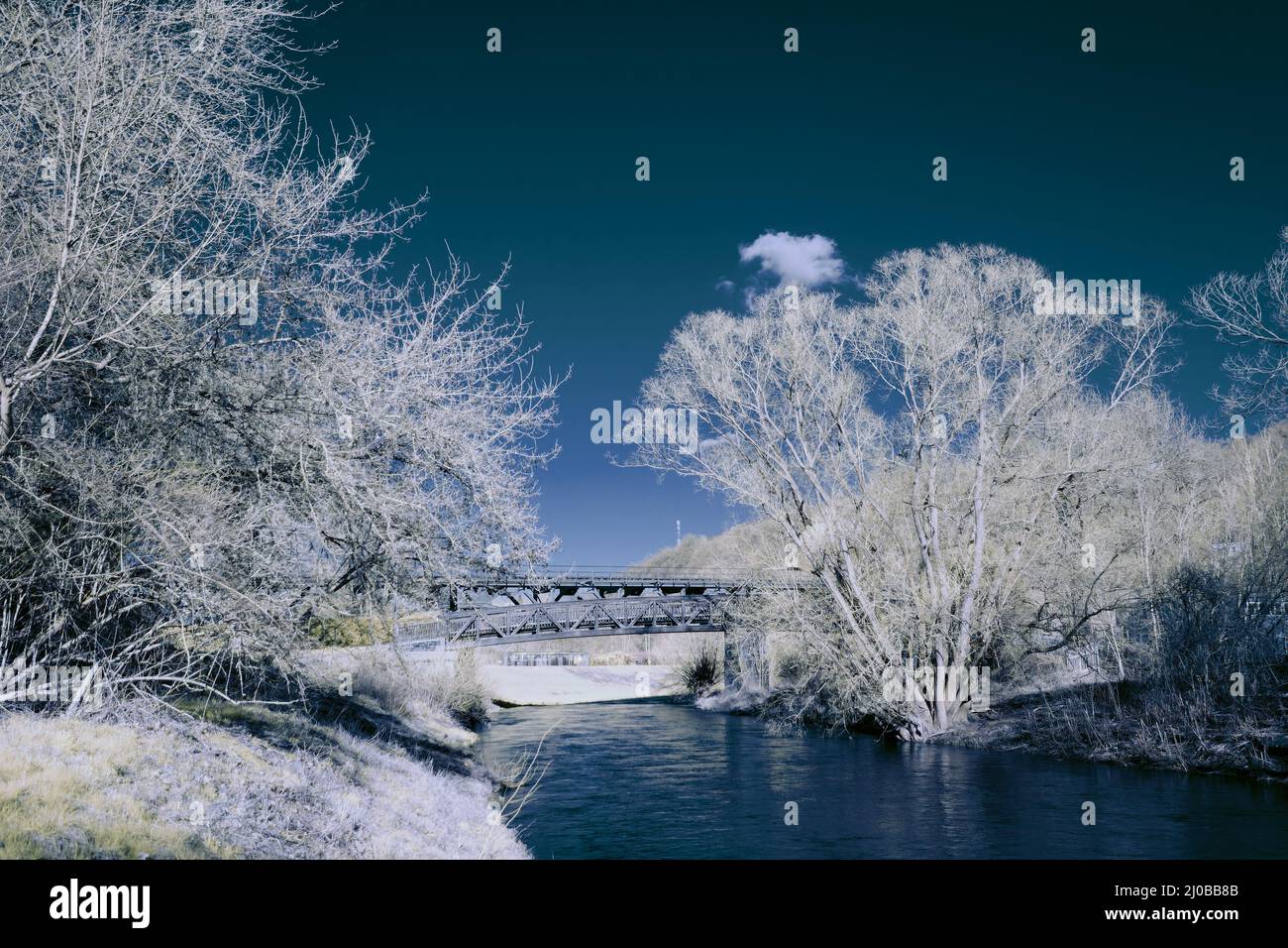 Infrared 720nm landscape with glowing white vegetation, surreal ...