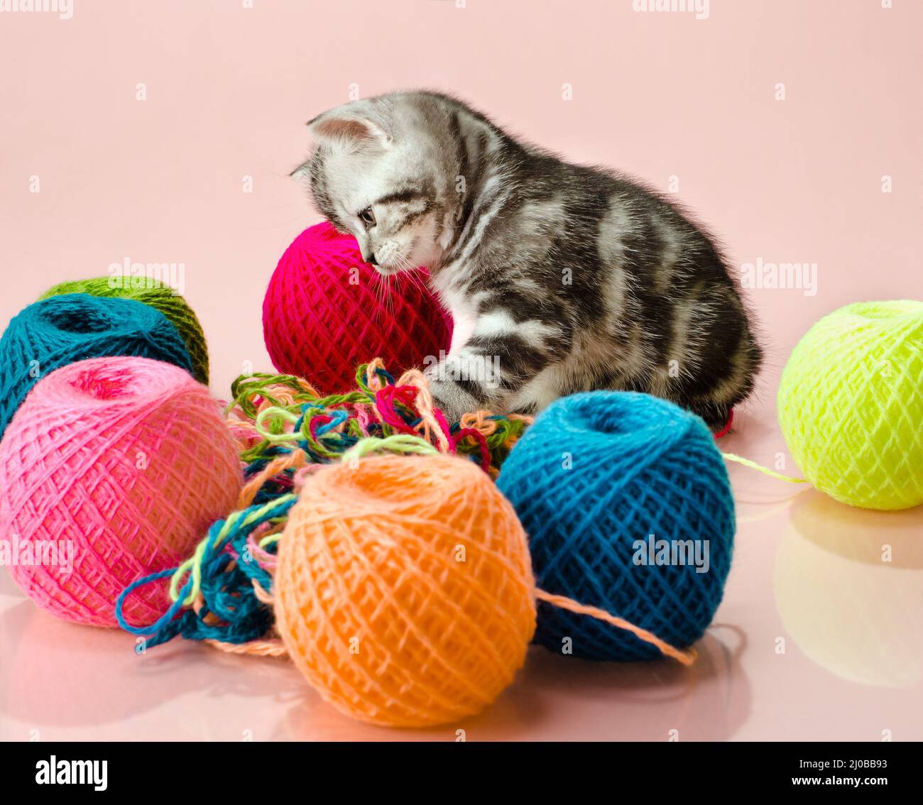 Ball of string kitten hi-res stock photography and images - Alamy