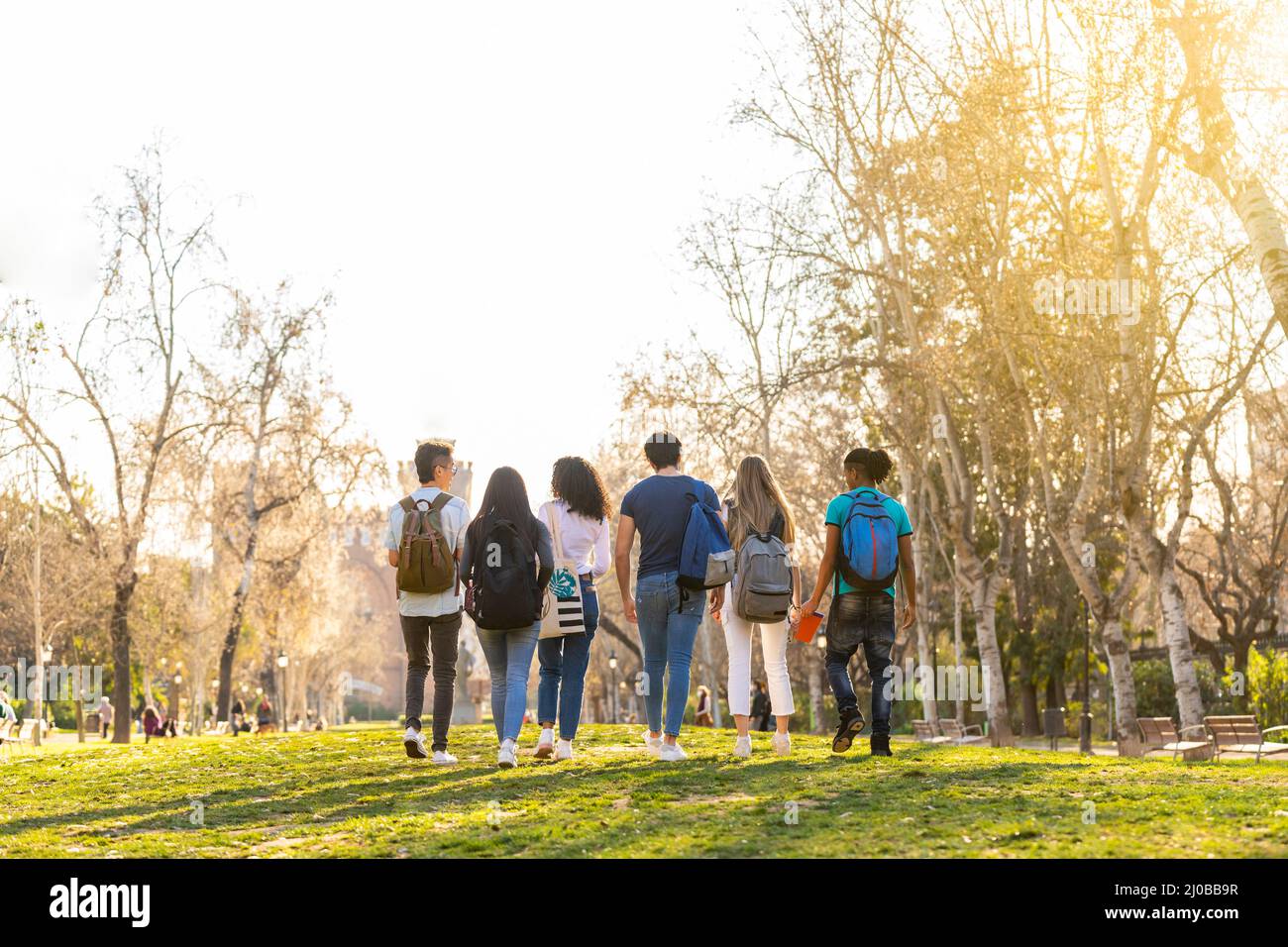 Back view of a row of young multi-ethnic students walking together in ...
