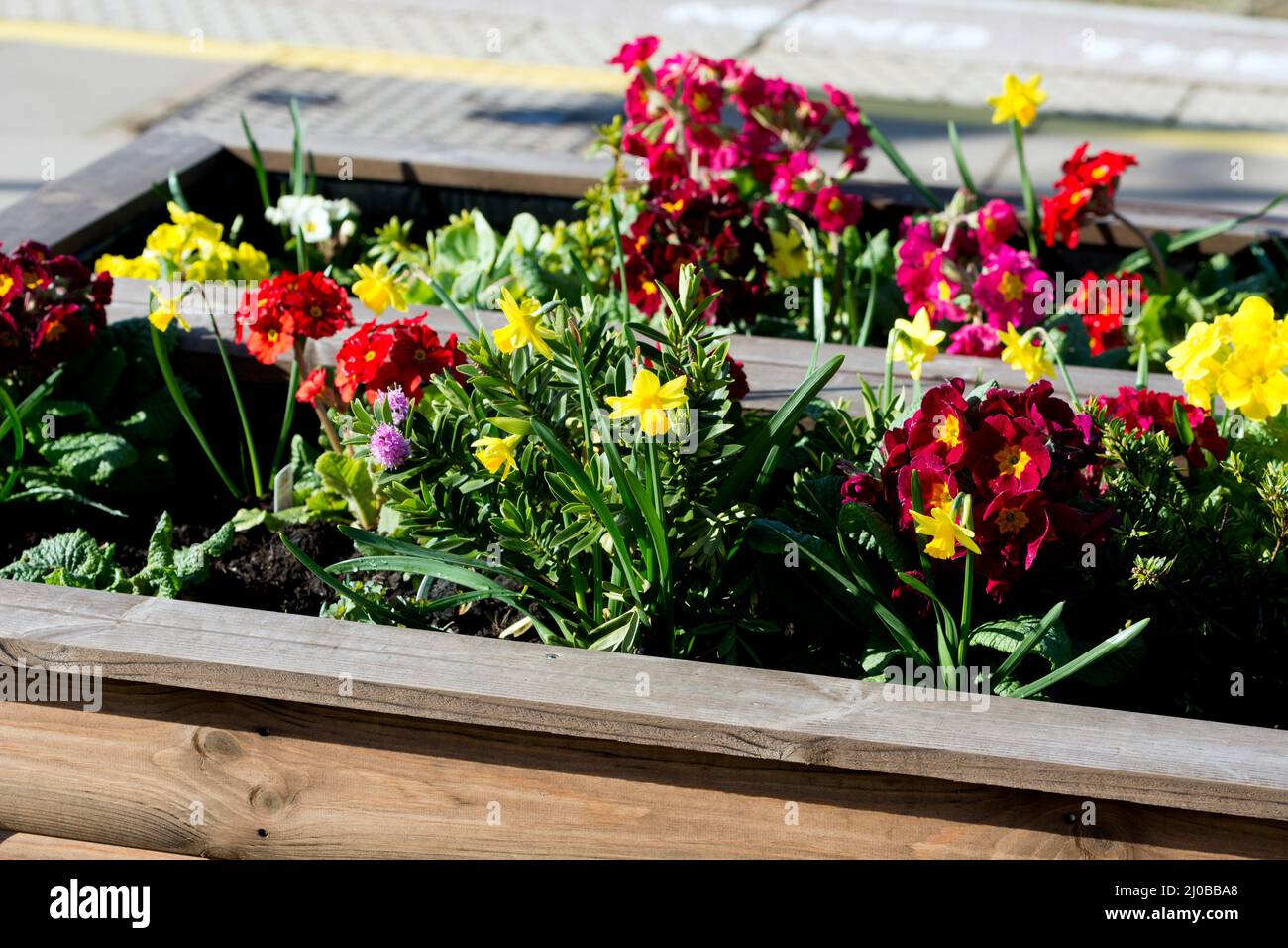 Train station with plants hi-res stock photography and images - Alamy